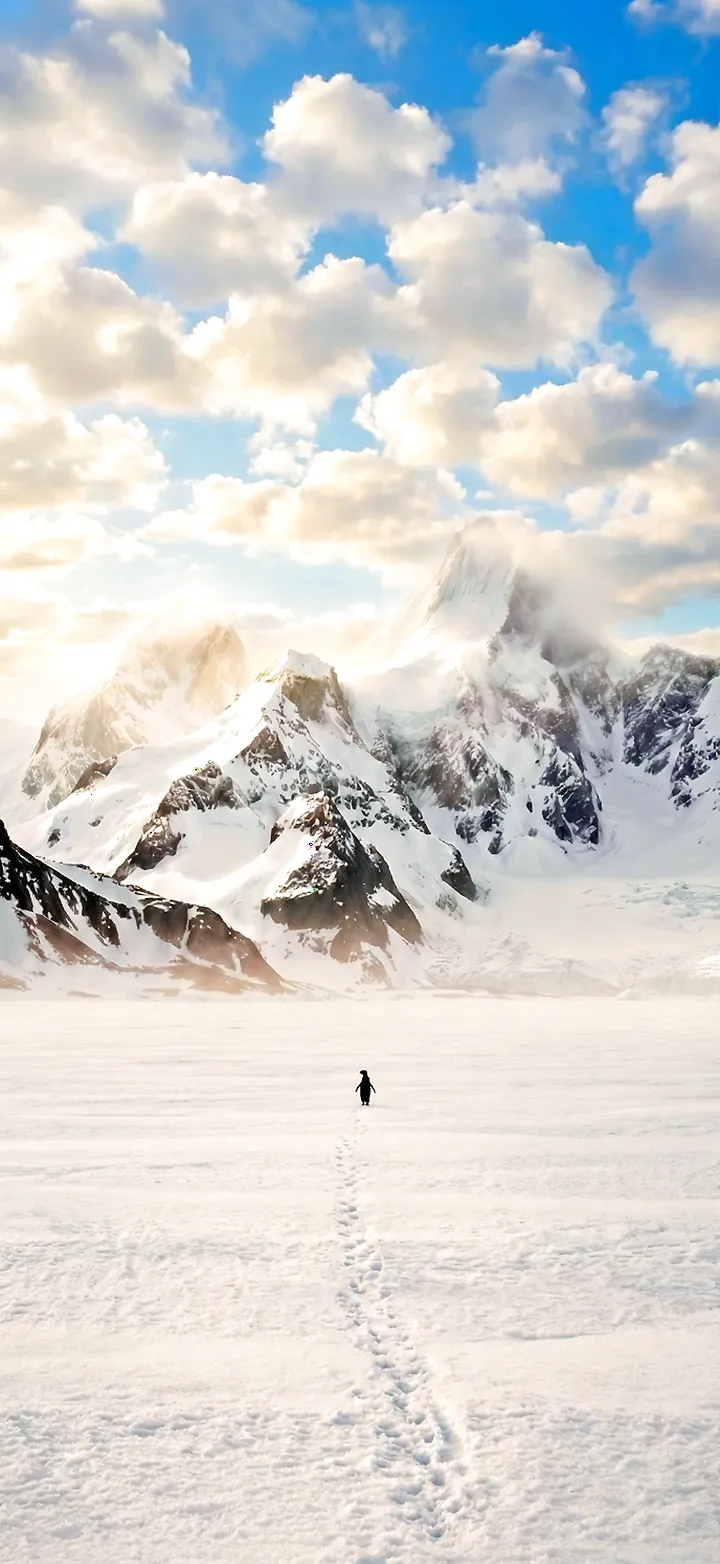 Der nihilistische Pinguin: Ein einsamer Marsch in die weiße Unendlichkeit